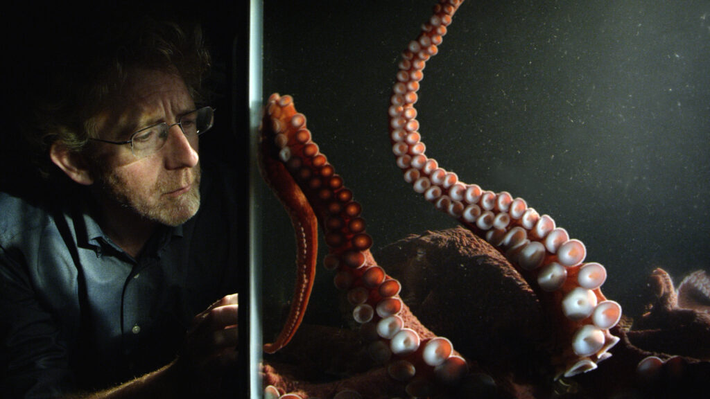 Publications - Alaska Octopus